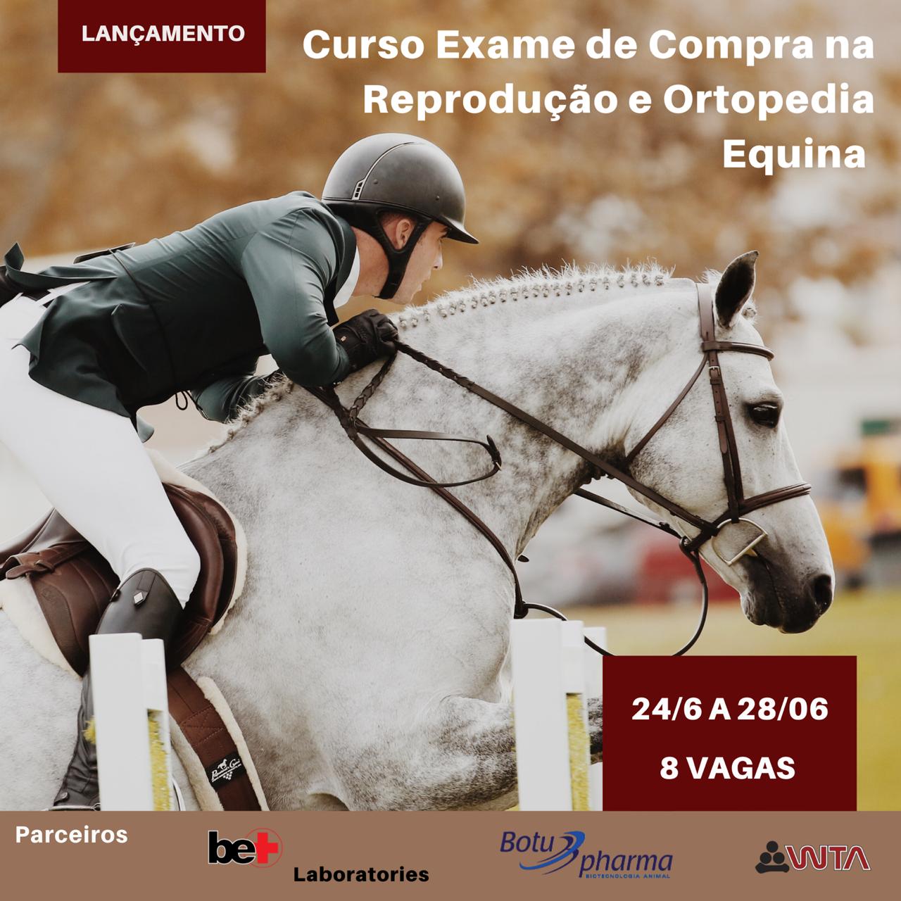 PALPAÇÃO E ULTRASSONOGRAFIA EM EQUINOS | Centro de Reprodução Equino Jacob